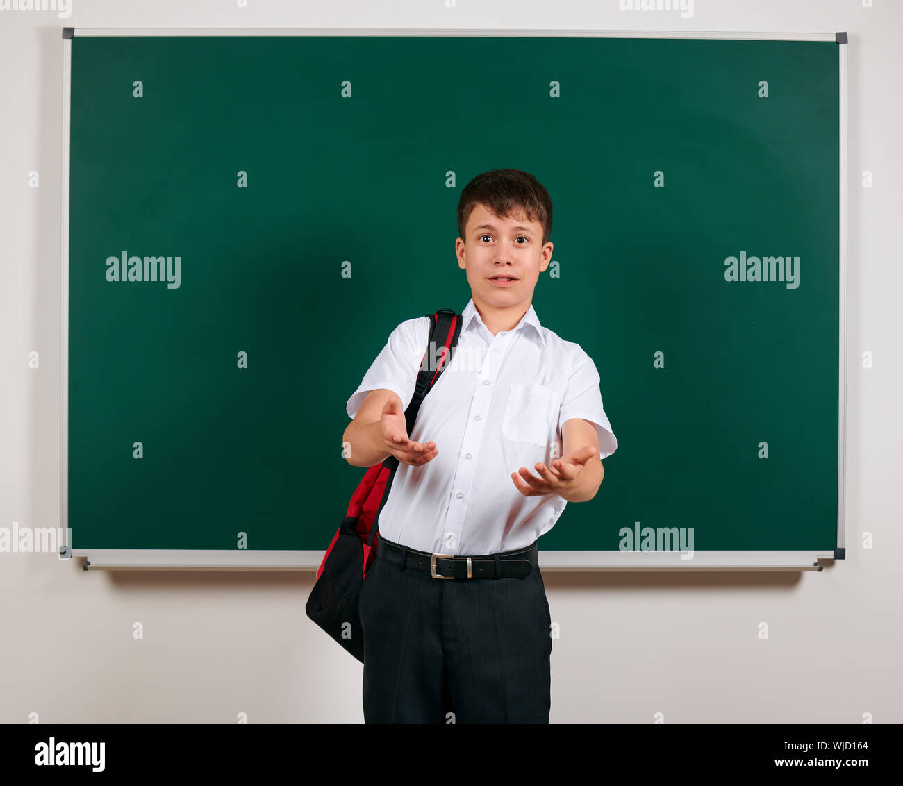 Portrait of a school boy posing with backpack on blackboard background ...