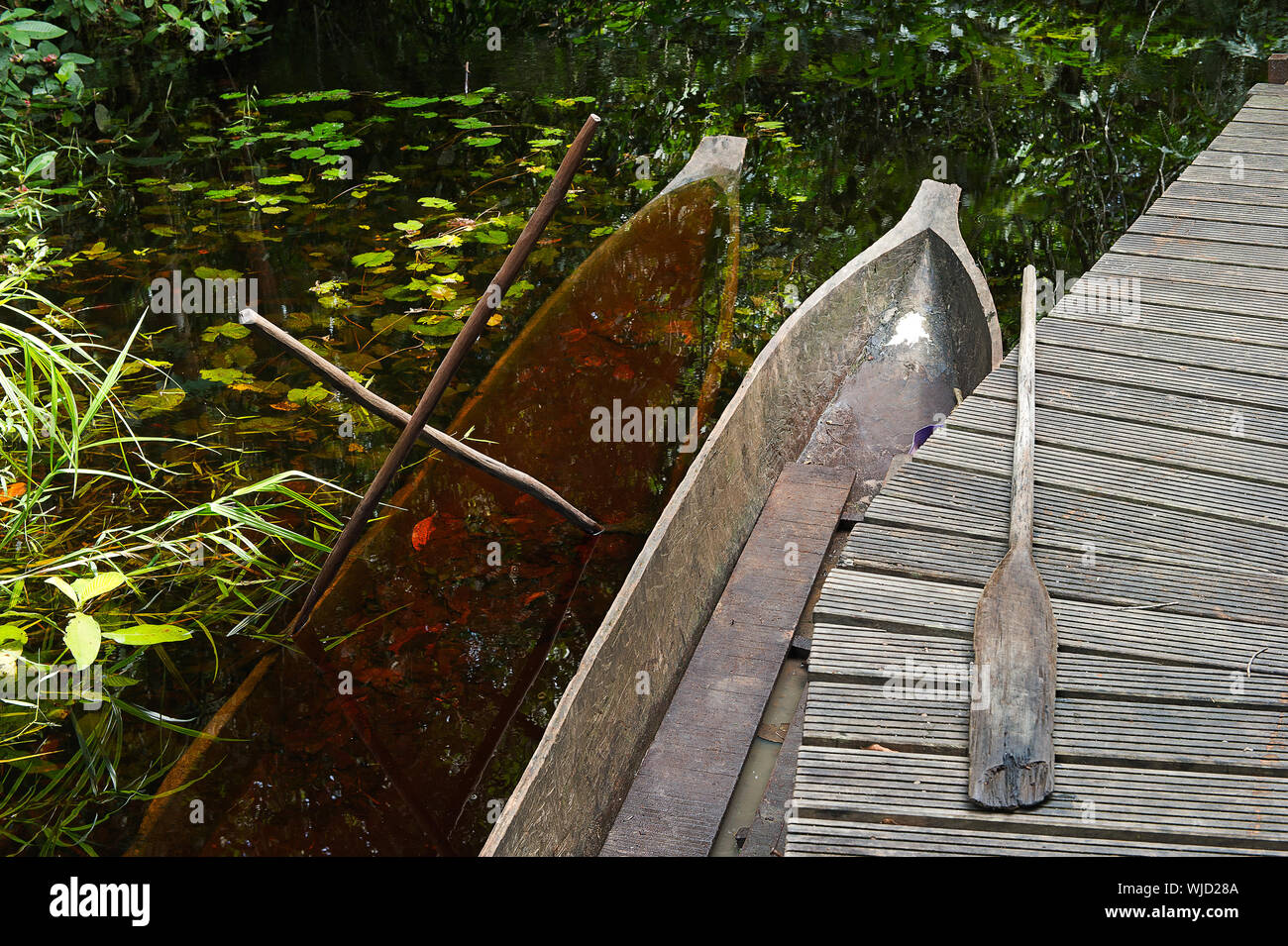 Traditional African canoes at a wooden planked footway. Congo. Africa ...