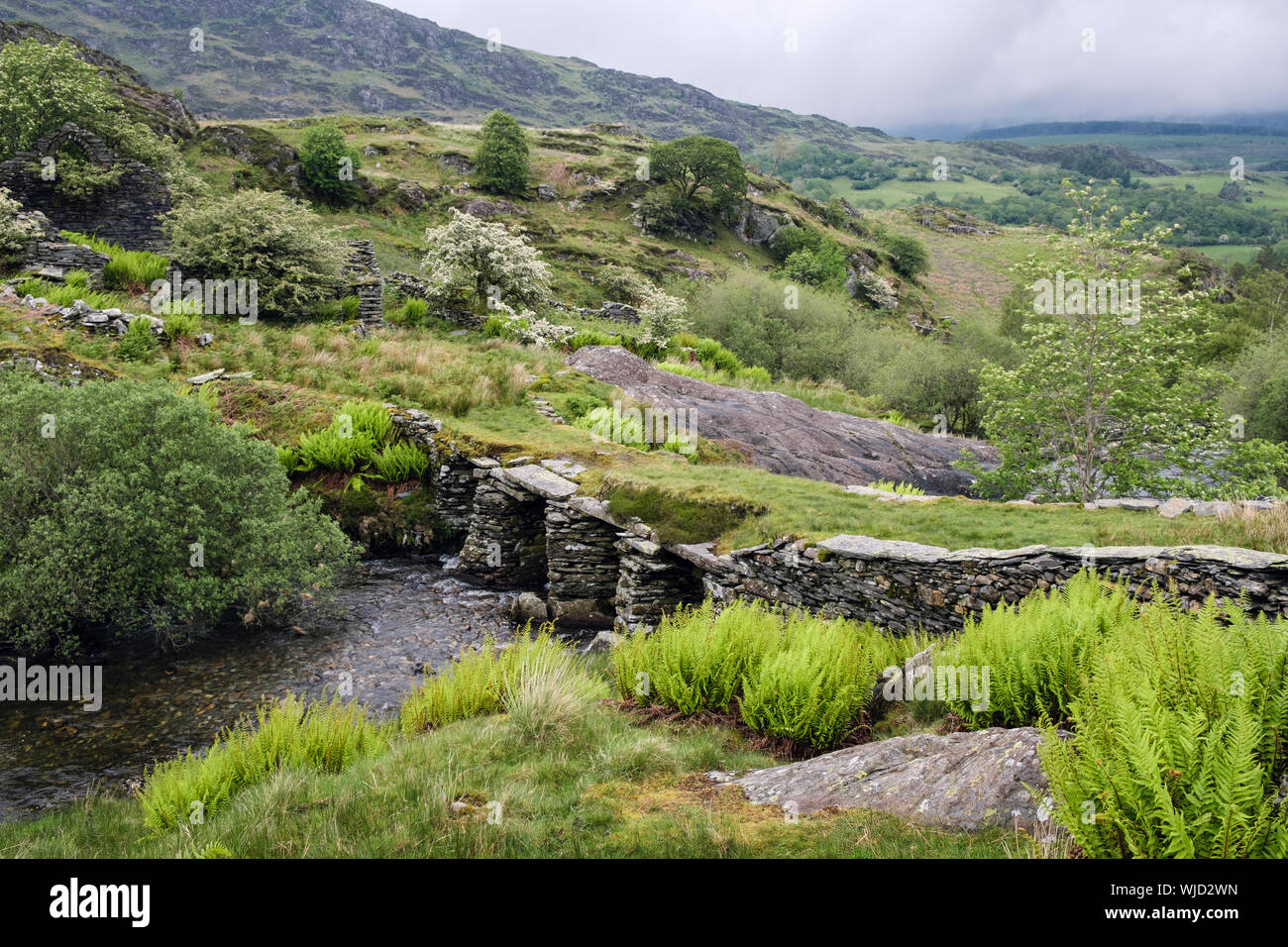 Stone slab bridge across Afon Lledr River to ruined settlement of Cwm ...