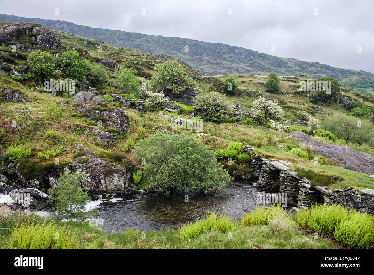 Stone slab bridge across Afon Lledr River to ruined settlement of Cwm ...
