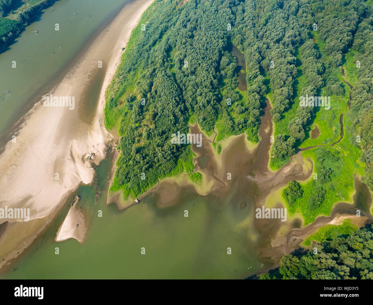 The shallow, muddy lagoon on the Drava River after the flood, Croatia ...
