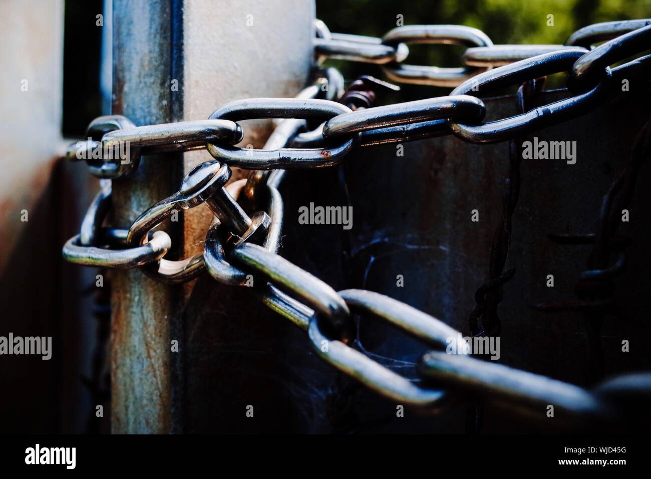Tied To Chains High Resolution Stock Photography and Images - Alamy