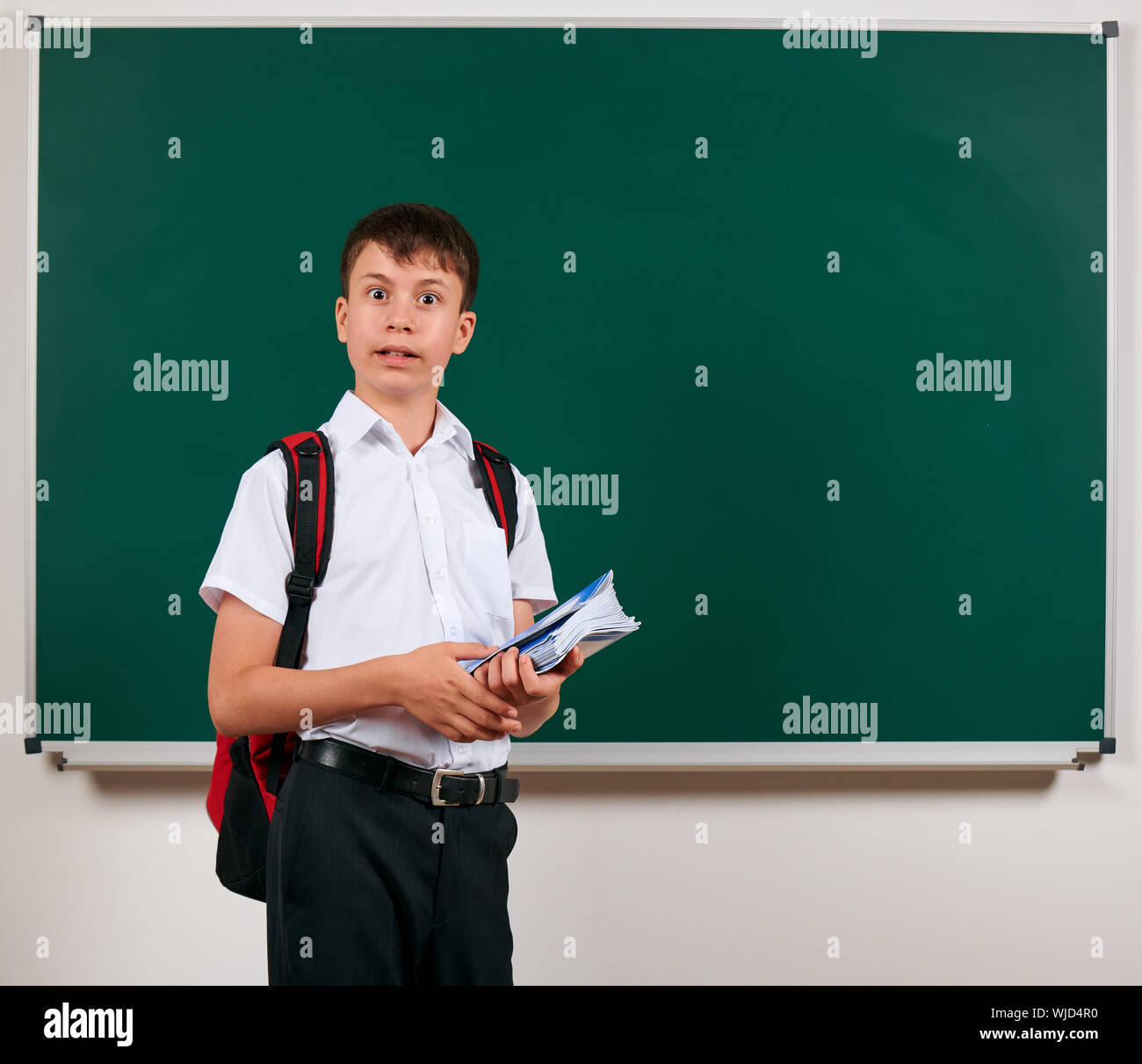 Portrait of a school boy posing with backpack and school supplies ...