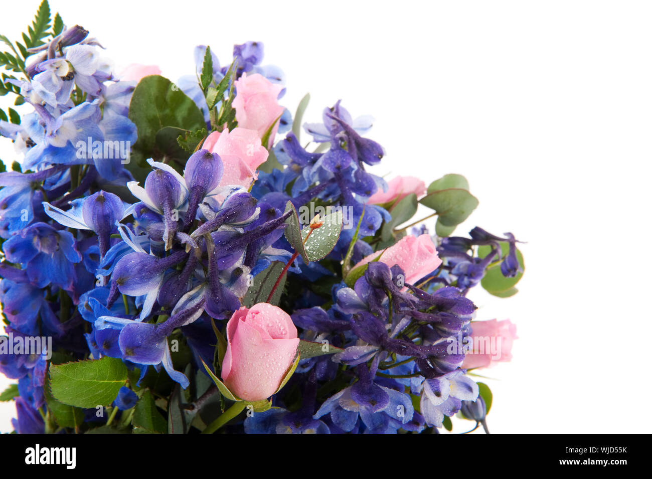 Bouquet larkspur hi-res stock photography and images - Alamy