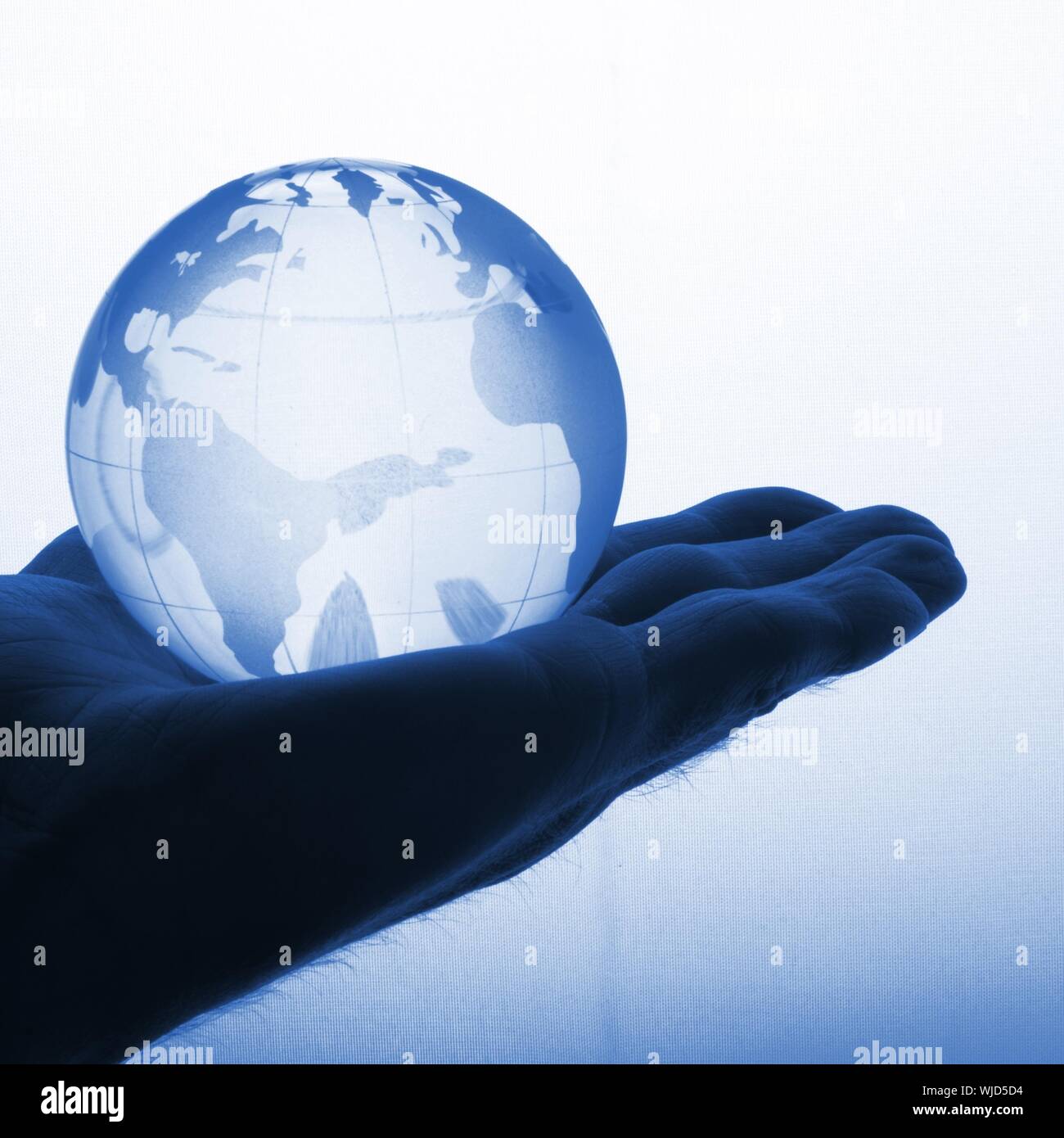 Web environment ecology fragile hi-res stock photography and images - Alamy