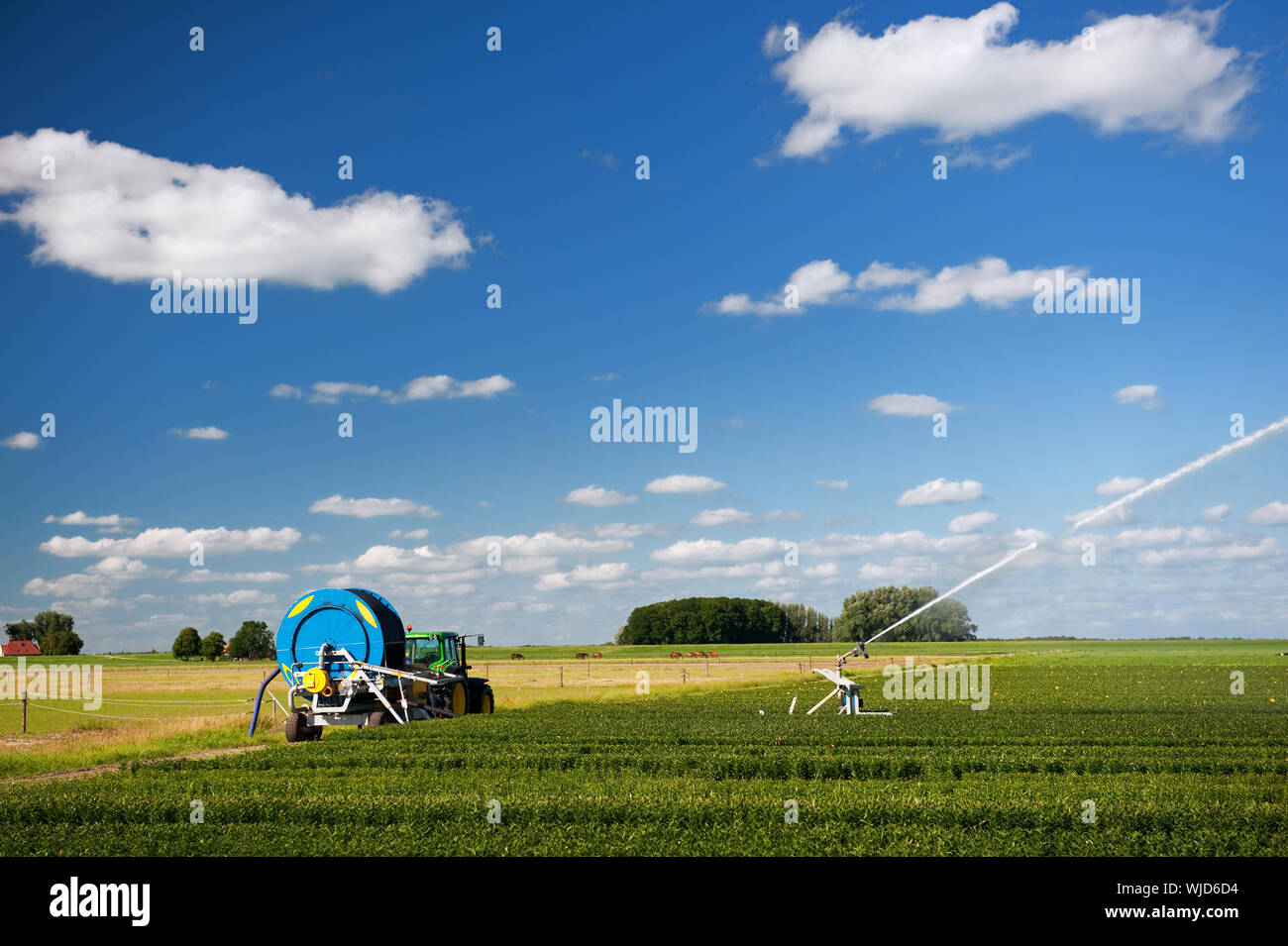 Watering the agriculture fields in nature landscape Stock Photo - Alamy