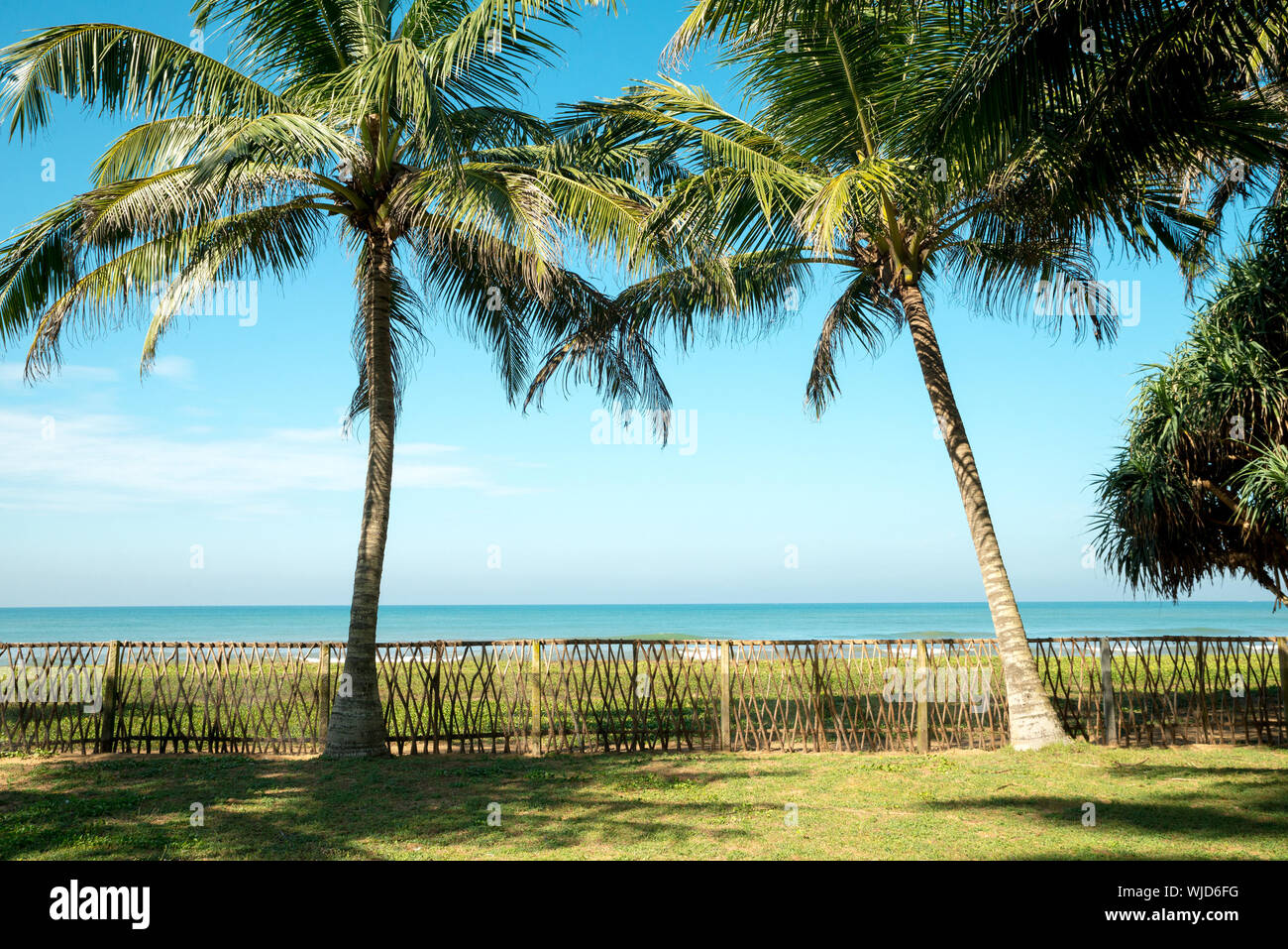 Wadduwa hi-res stock photography and images - Alamy