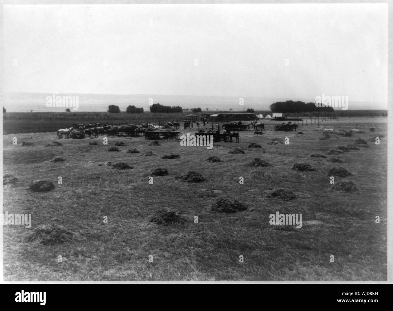 Alfalfa County Black and White Stock Photos & Images - Alamy