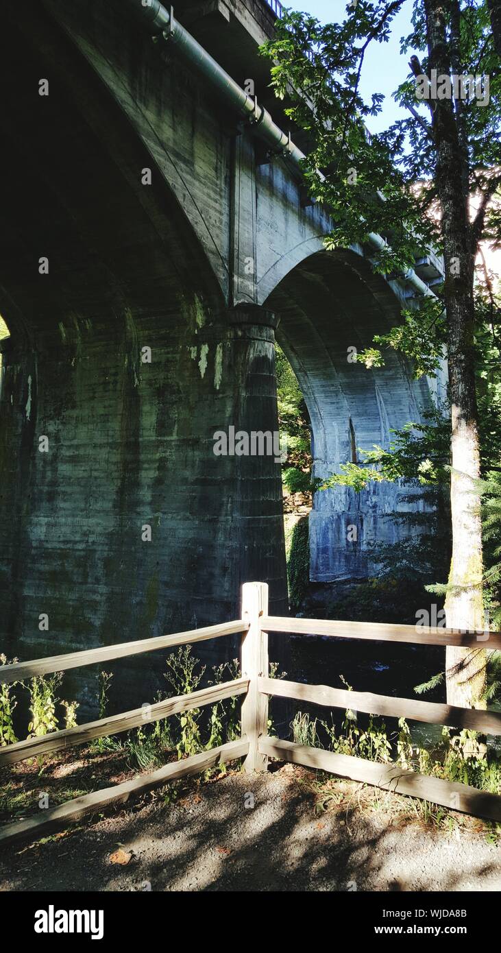 Wooden Fence And Arched Bridge With Tree Stock Photo - Alamy
