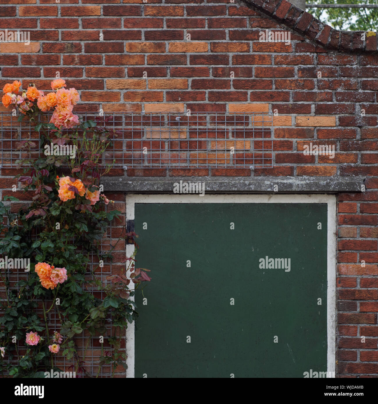 Brick flowers hi-res stock photography and images - Alamy