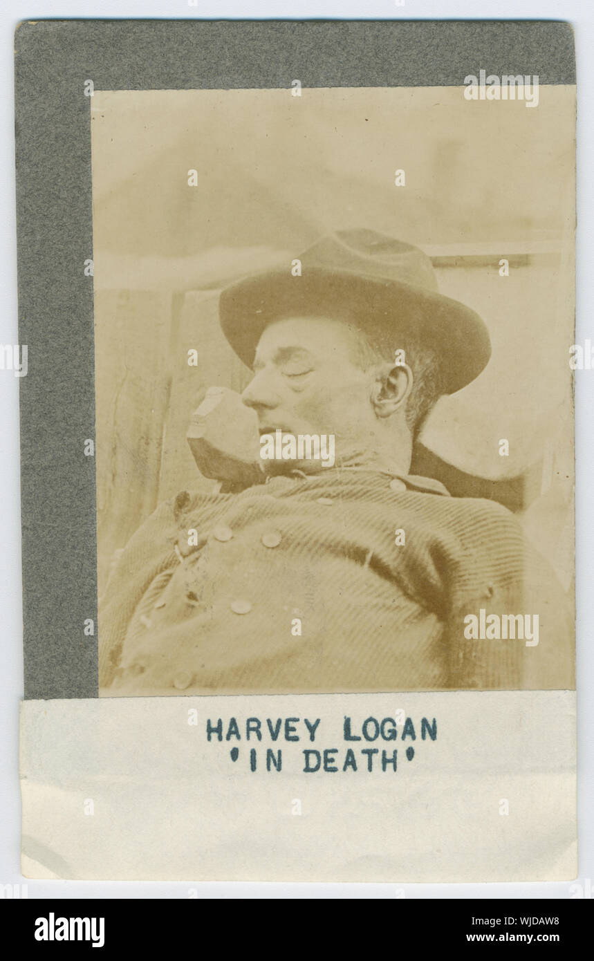 Logan harvey hi-res stock photography and images - Alamy