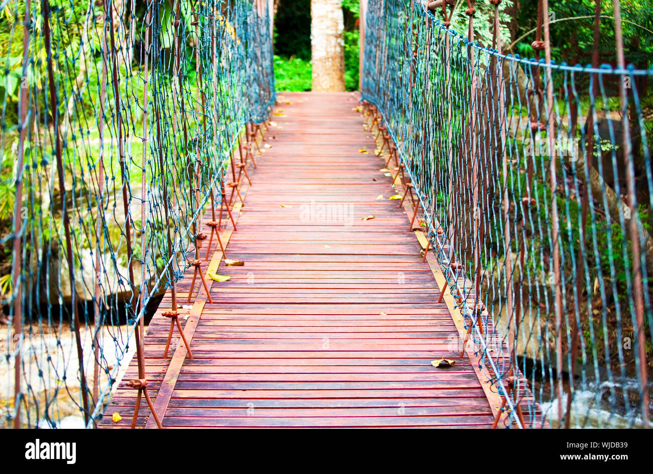 Wooden hanging suspension bridge in middle of woods Stock Photo - Alamy
