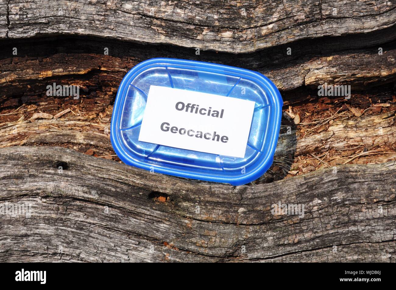 geocaching concept with cache box in nature Stock Photo - Alamy