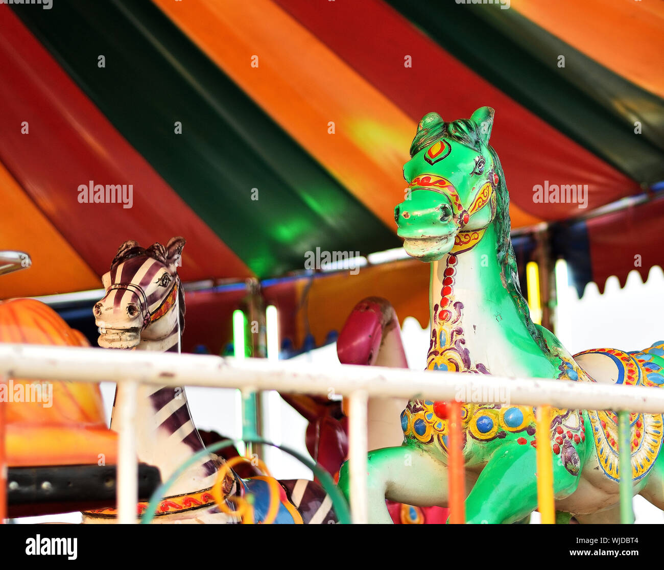 Multi colored horse hi-res stock photography and images - Alamy