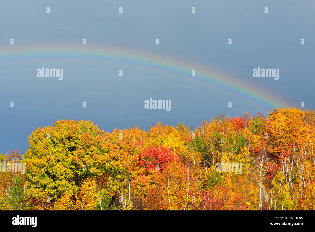 Rainbow over Ramsey Lake in autumn, Greater Sudbury, Ontario, Canada ...