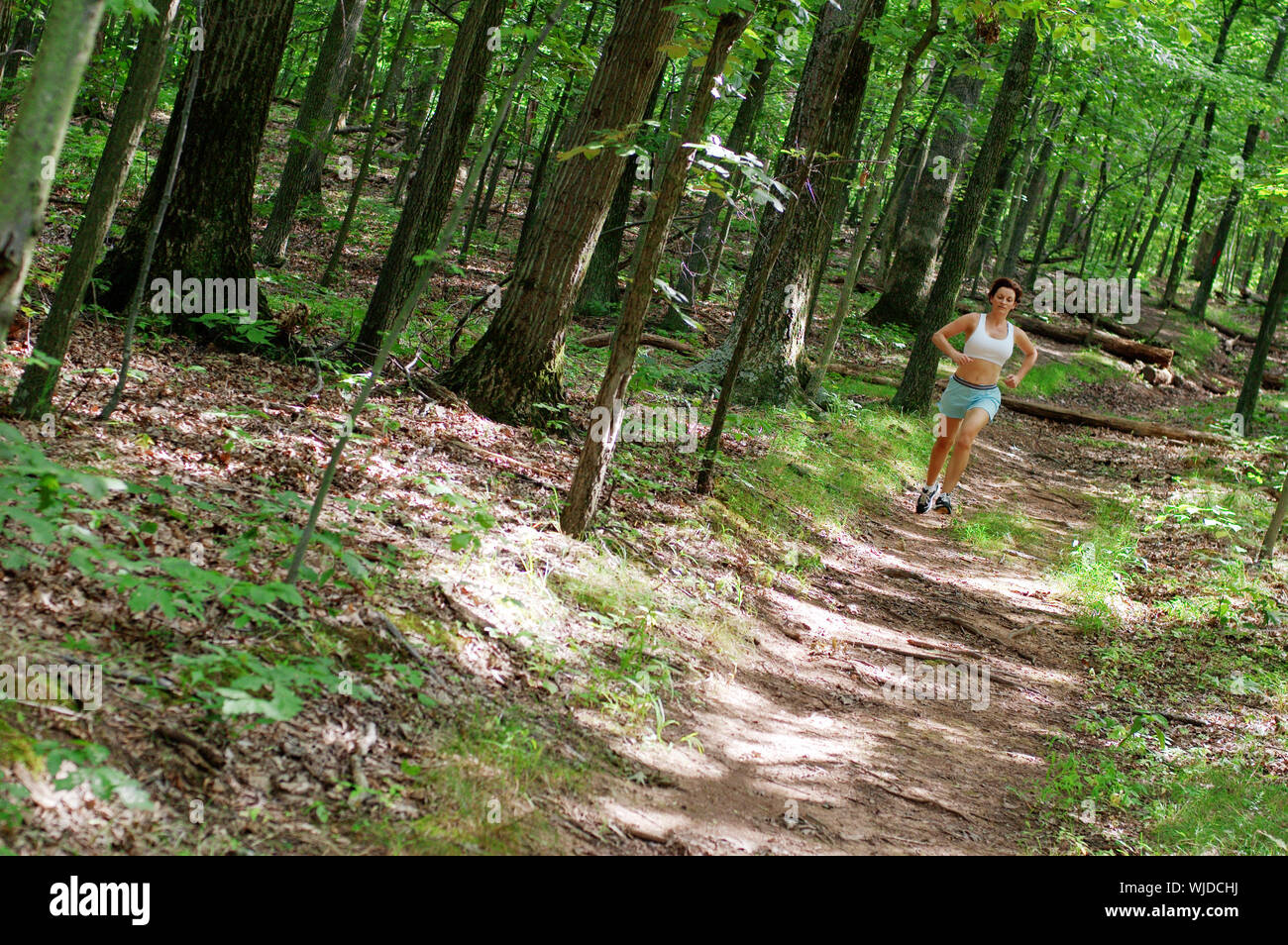 Athletics race forest hi-res stock photography and images - Alamy