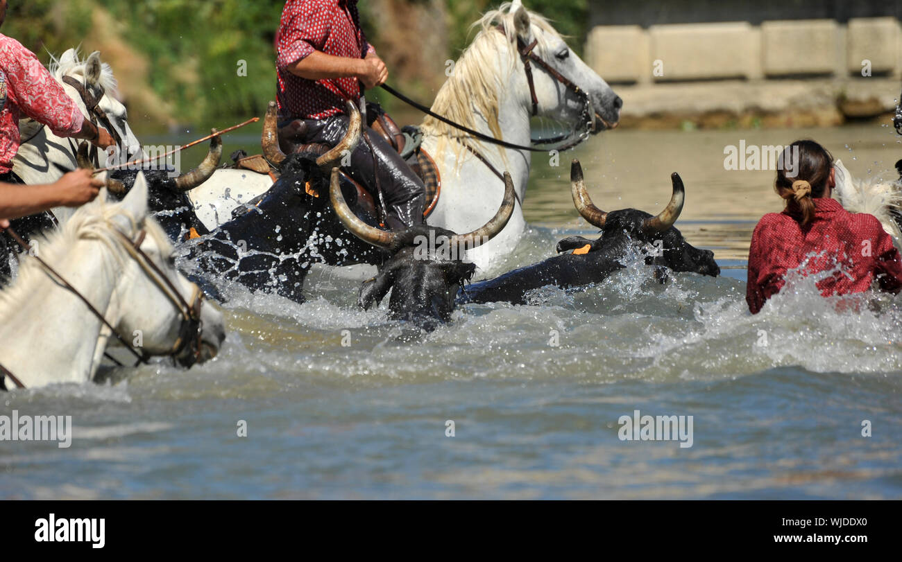 Man running in river swimming hi-res stock photography and images - Alamy