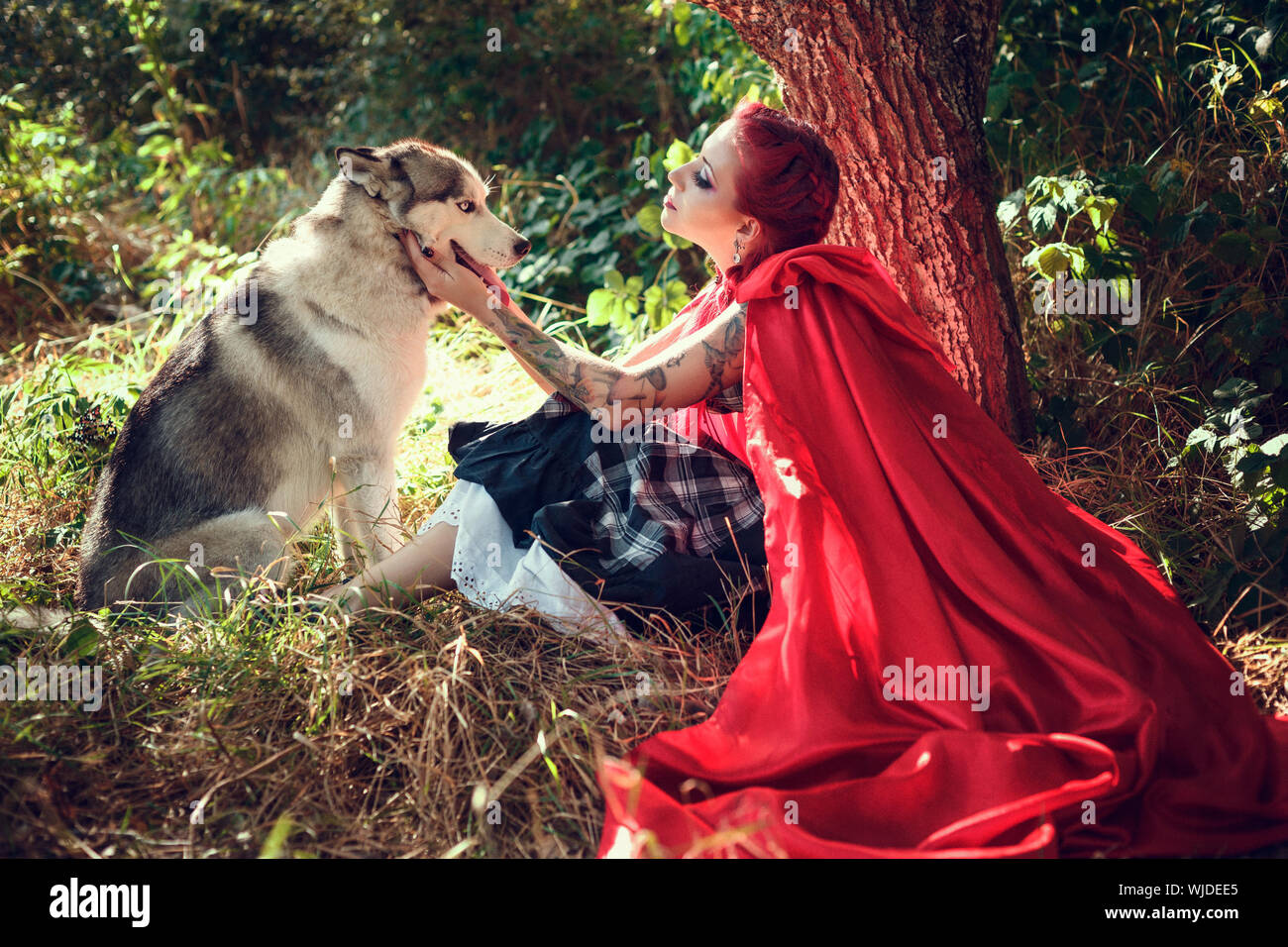 Attractive woman with the dog. Huskies. Woman in red cape with wolf ...