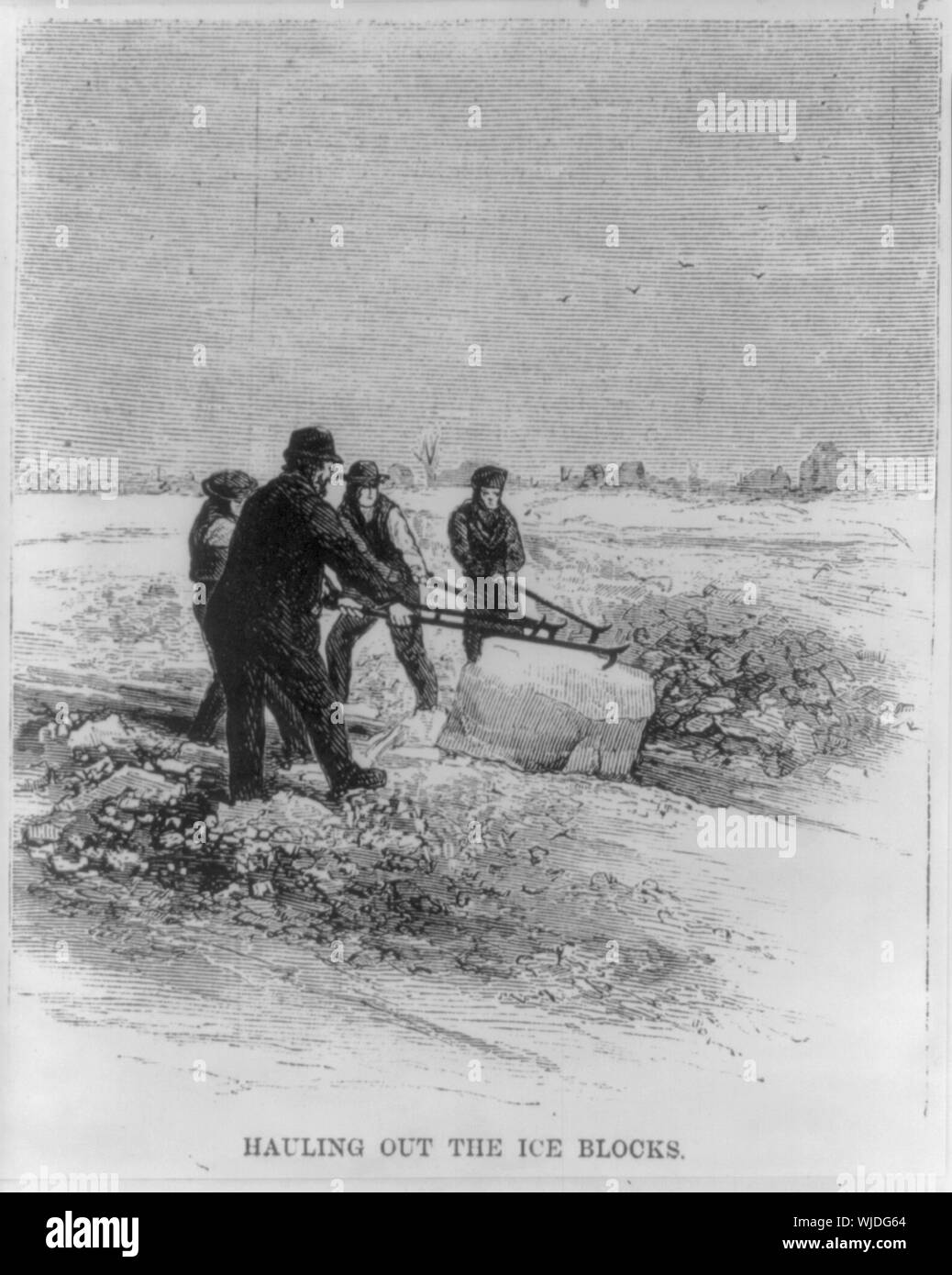 Hauling out the ice blocks Stock Photo - Alamy