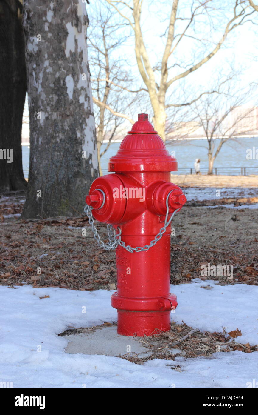 Red fire hydrant in snow hi-res stock photography and images - Alamy