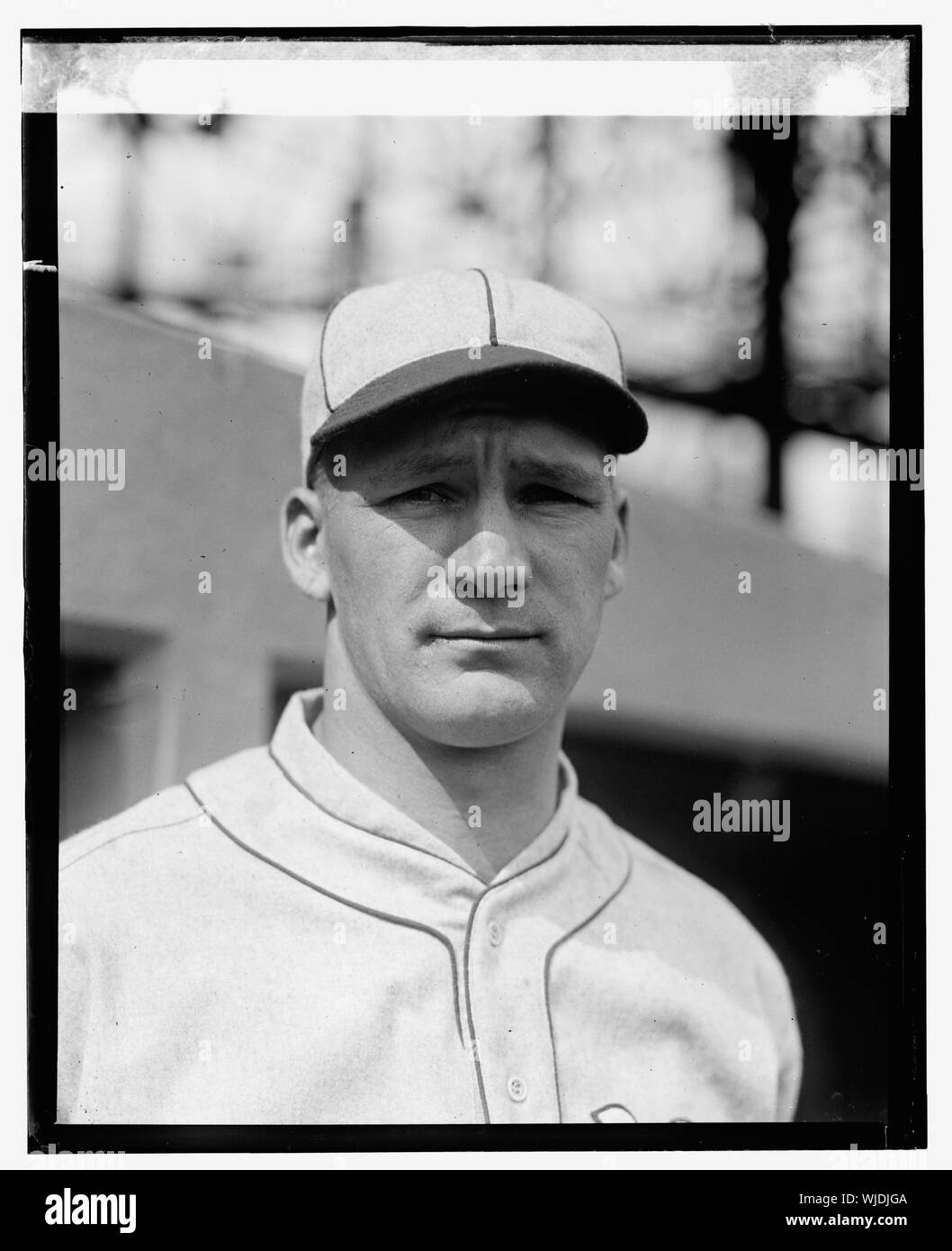 Hauser Cut Out Stock Images & Pictures - Alamy