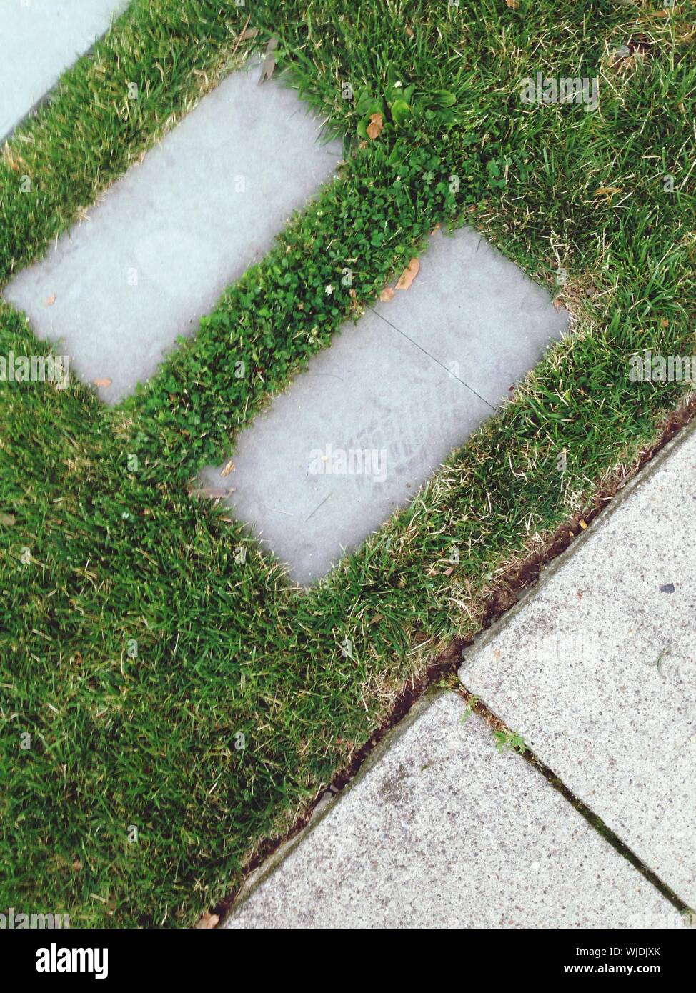 Stepping stone garden path hi-res stock photography and images - Alamy