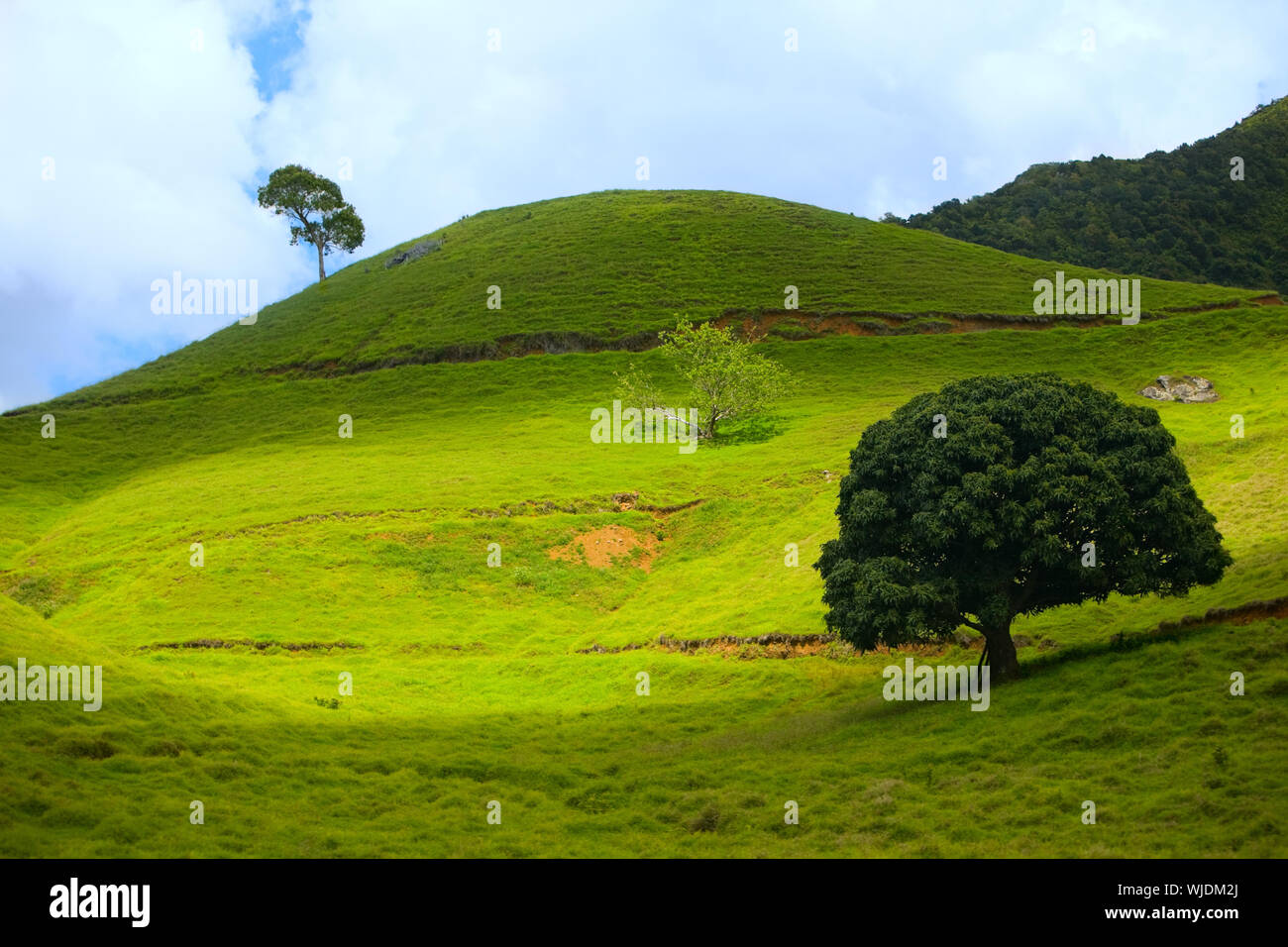 Eco-tourism. Beautiful hills landscape with hiking path Stock Photo - Alamy