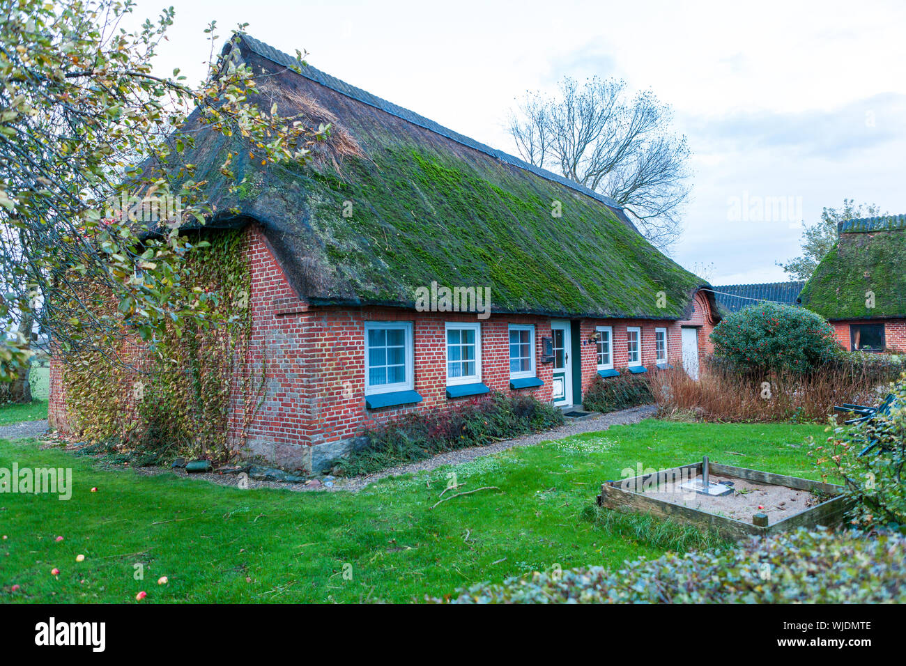 Residential house with a green mossy thatch roof Stock Photo - Alamy