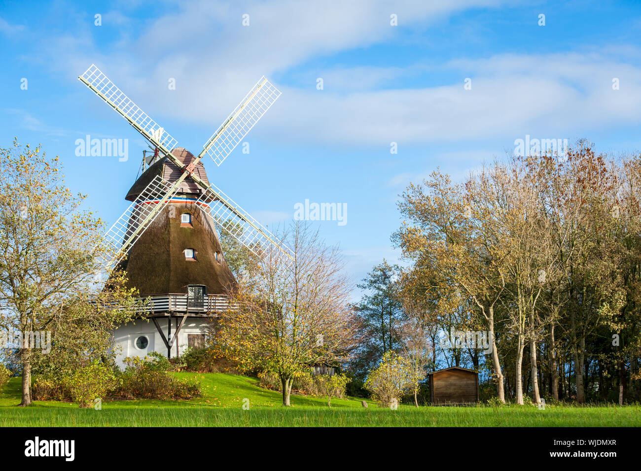 Traditional wooden windmill in a lush garden Stock Photo - Alamy