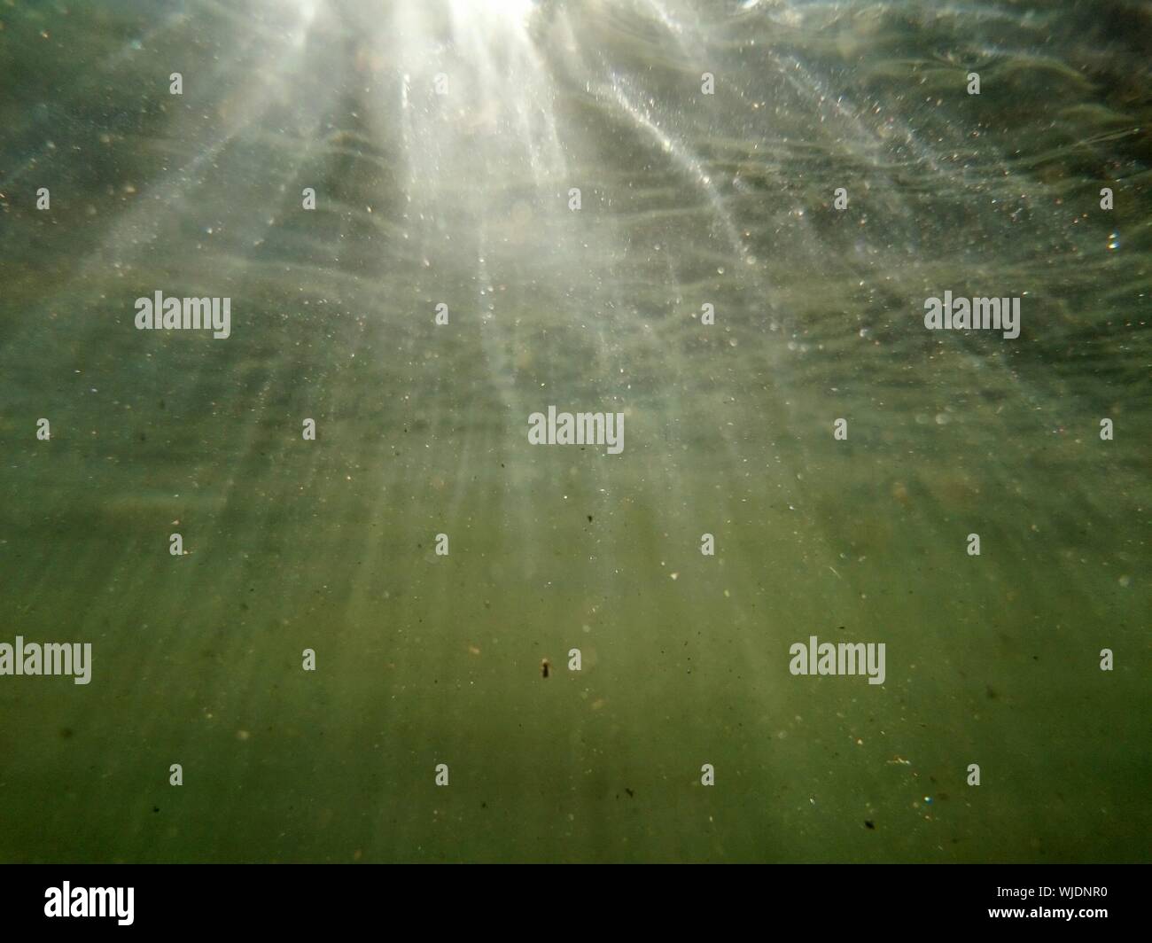 Sunbeams filtering through water hi-res stock photography and images ...