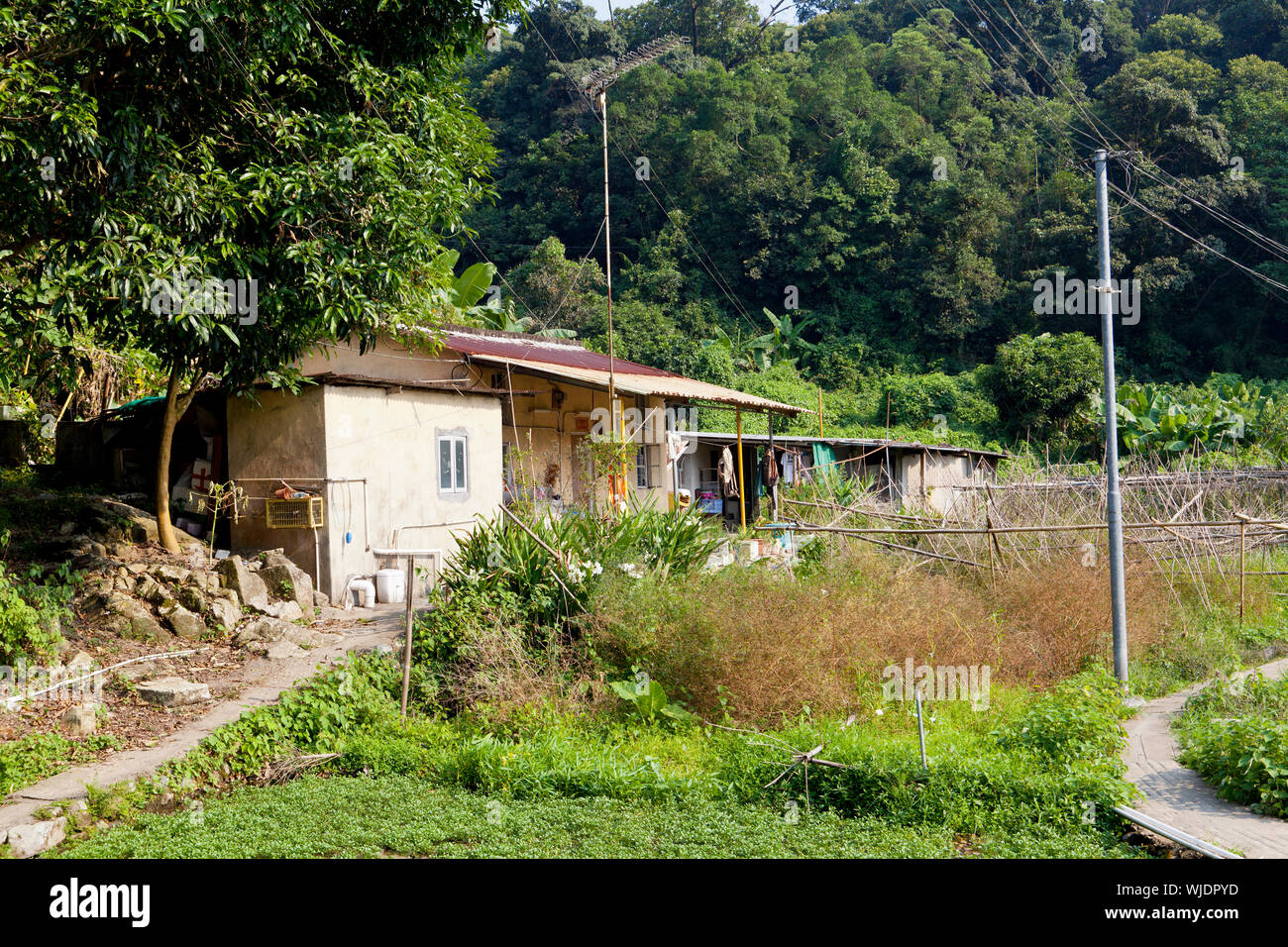 Village house in Hong Kong Stock Photo - Alamy
