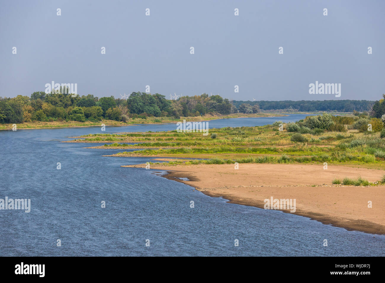 oder river in germany near the polish border Stock Photo - Alamy