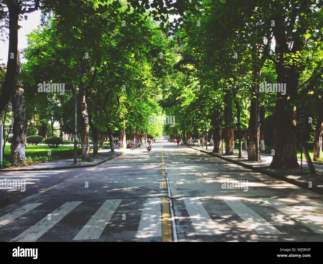 Lined Streets High Resolution Stock Photography and Images - Alamy