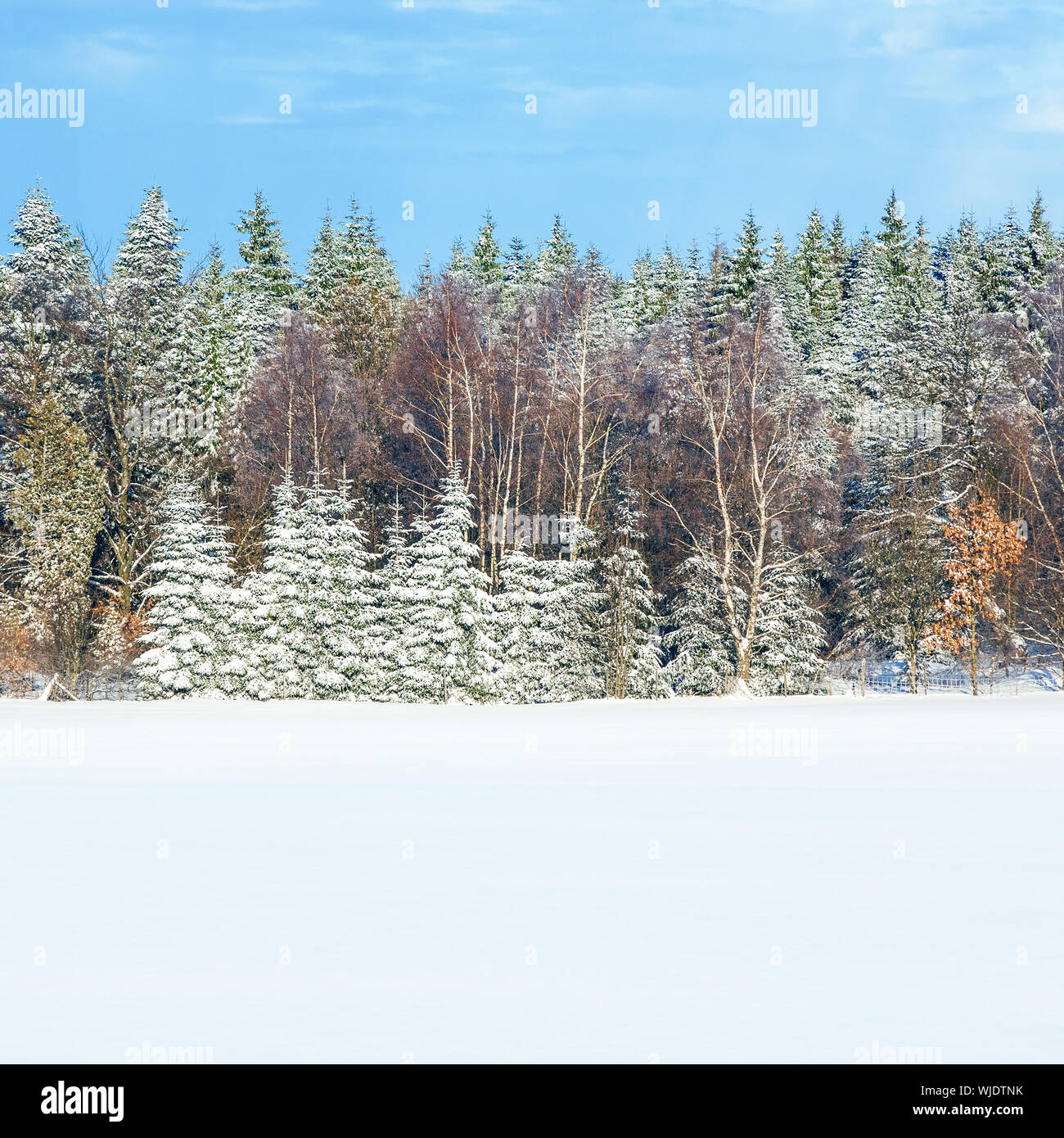 An image of a nice winter scenery Stock Photo - Alamy