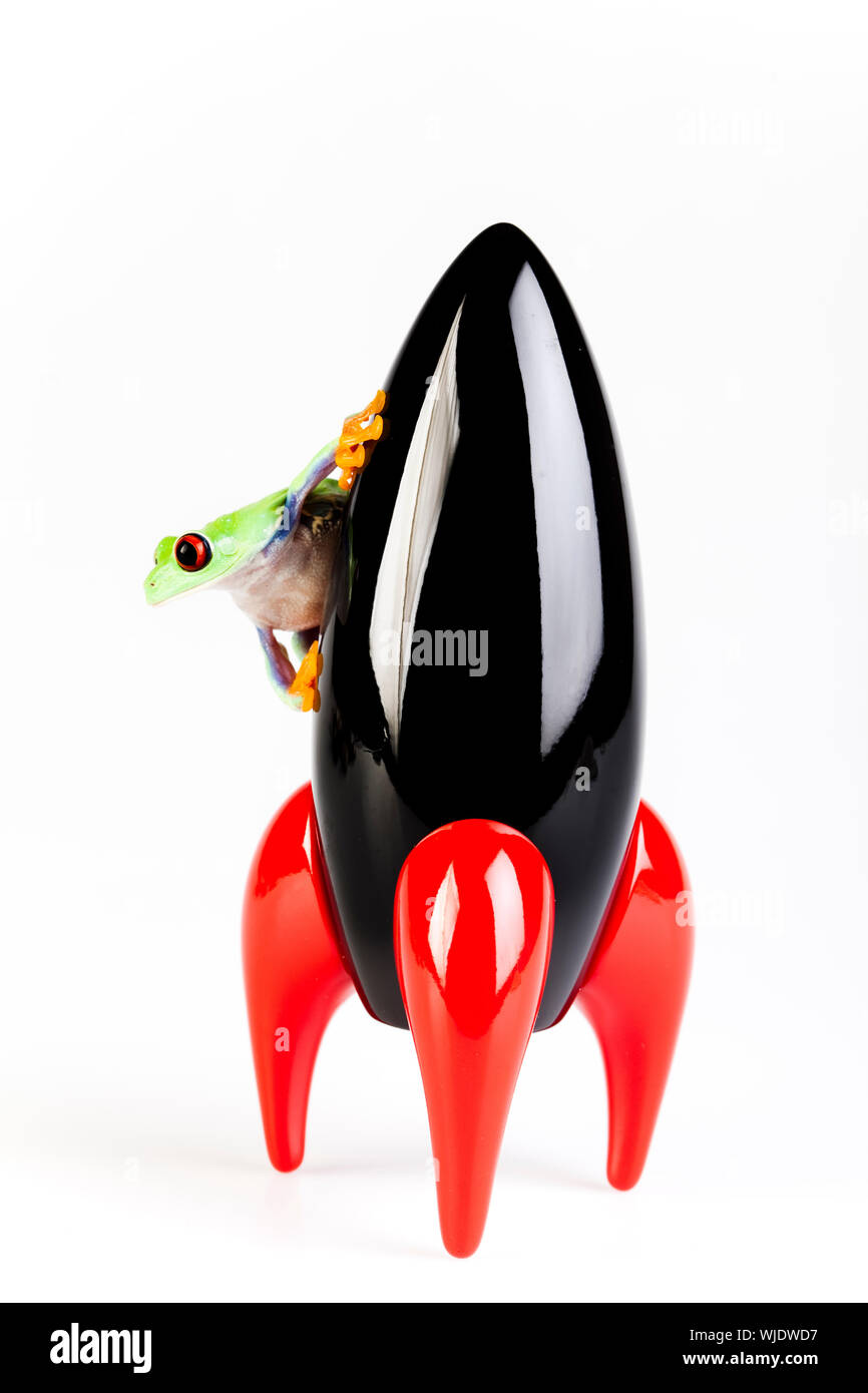 Rocket and frog Stock Photo - Alamy