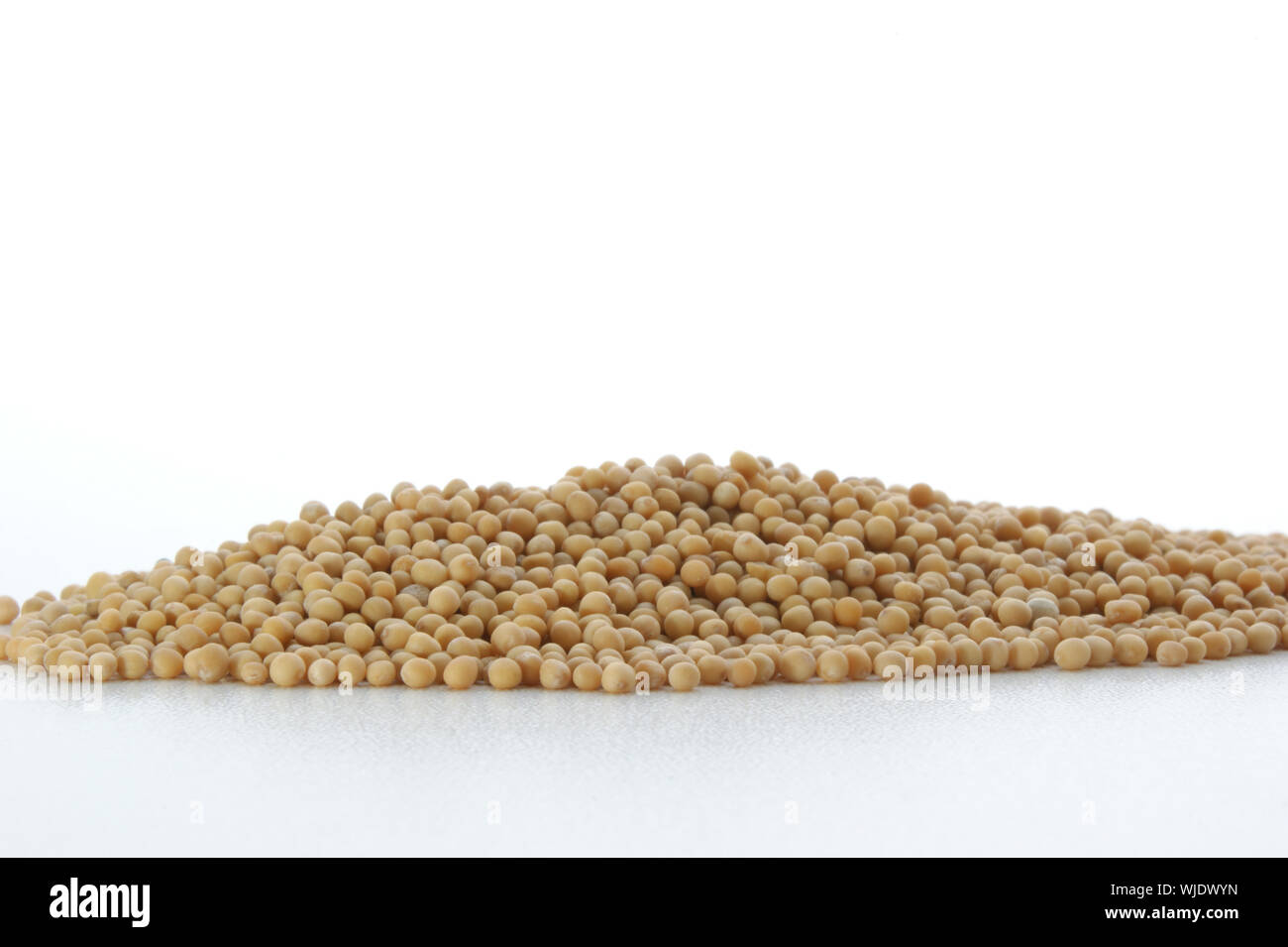 Mustard seeds are tiny round seed Stock Photo - Alamy