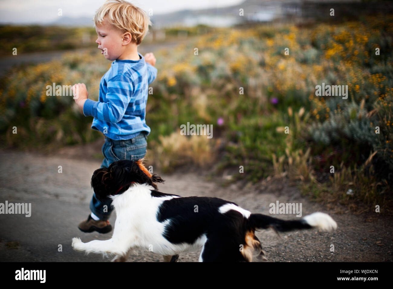 Little boy running with dog Stock Photo - Alamy