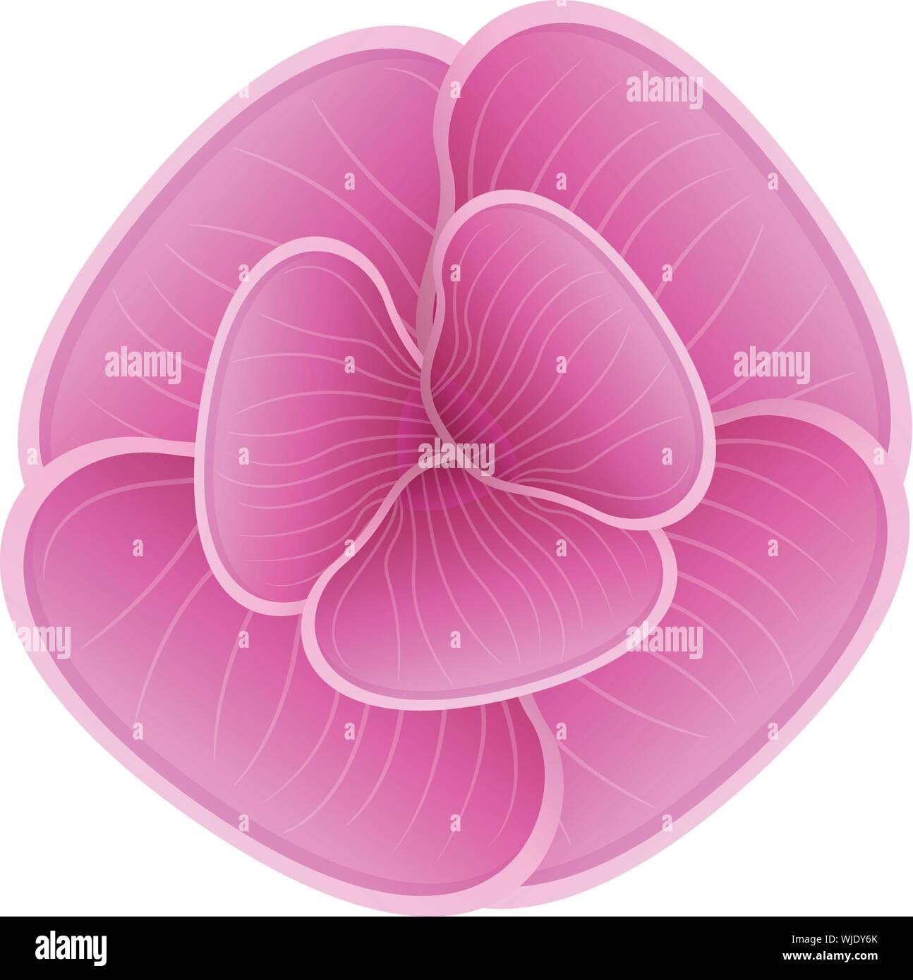 Pink orchid icon. Cartoon of pink orchid vector icon for web design ...