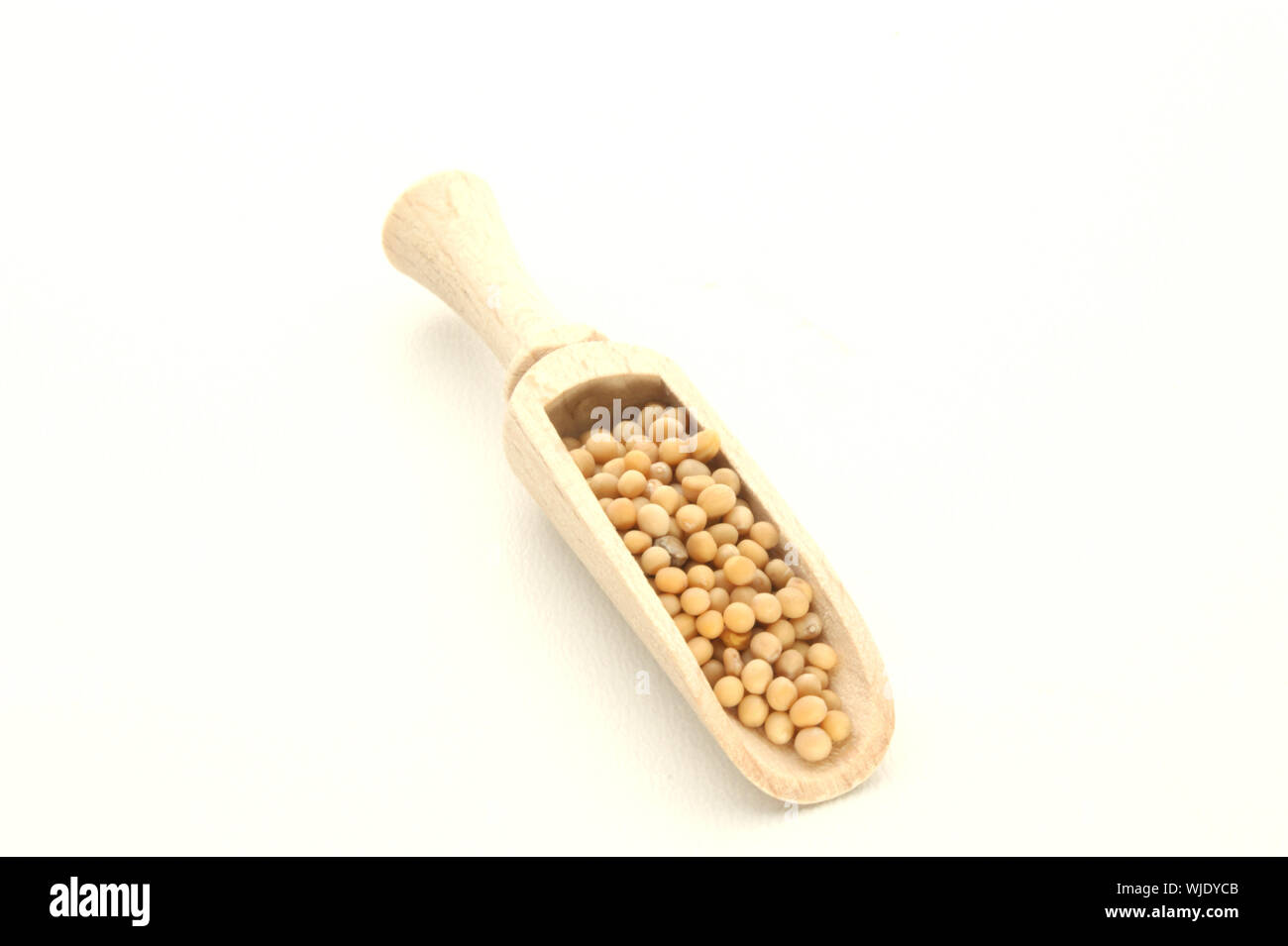 Mustard seeds are tiny round seed Stock Photo - Alamy