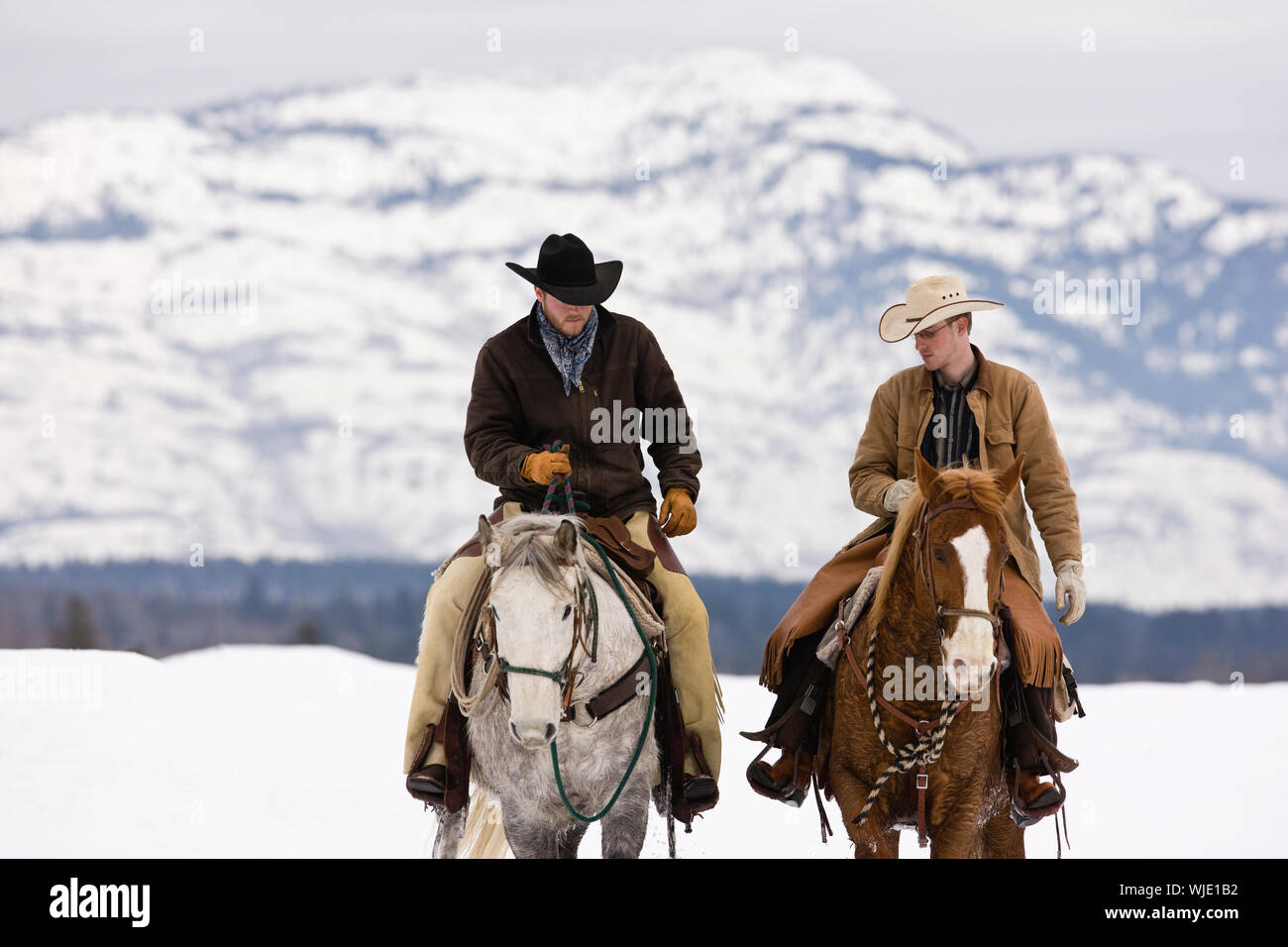 Cowboys riding horses in snow hi-res stock photography and images - Alamy