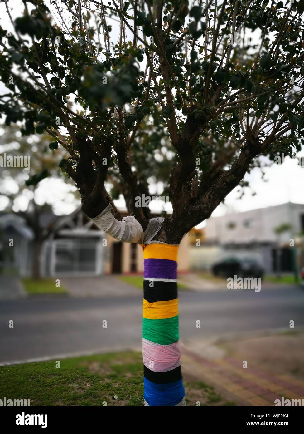 Fabric covered tree hi-res stock photography and images - Alamy