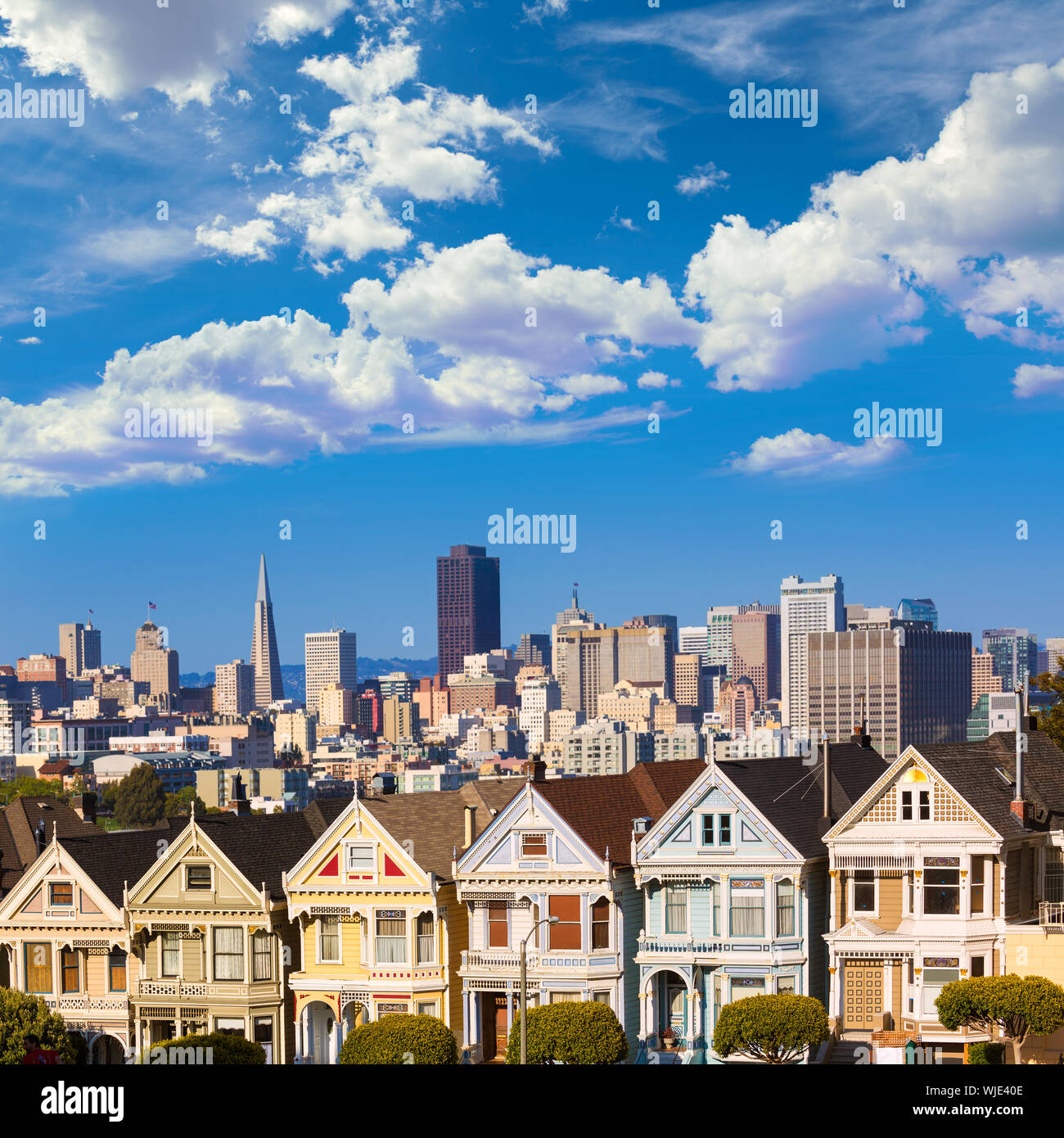 San Francisco Victorian houses in Alamo Square California Stock Photo ...