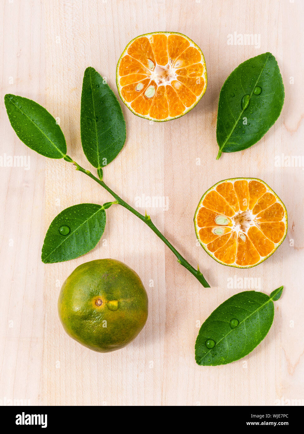 Citrus leaves hi-res stock photography and images - Alamy