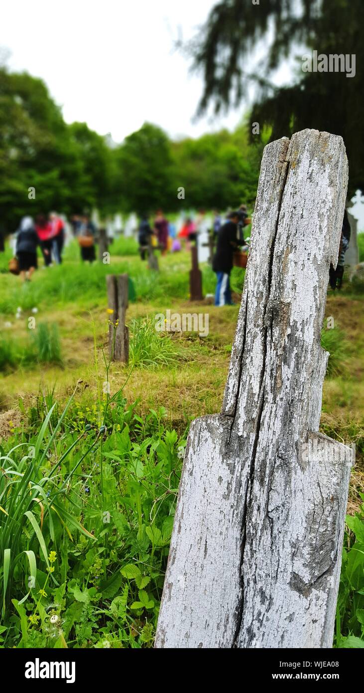 Grave marker hi-res stock photography and images - Alamy