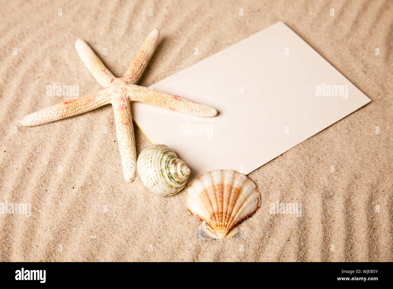 Shell, sand & sheet of paper Stock Photo - Alamy