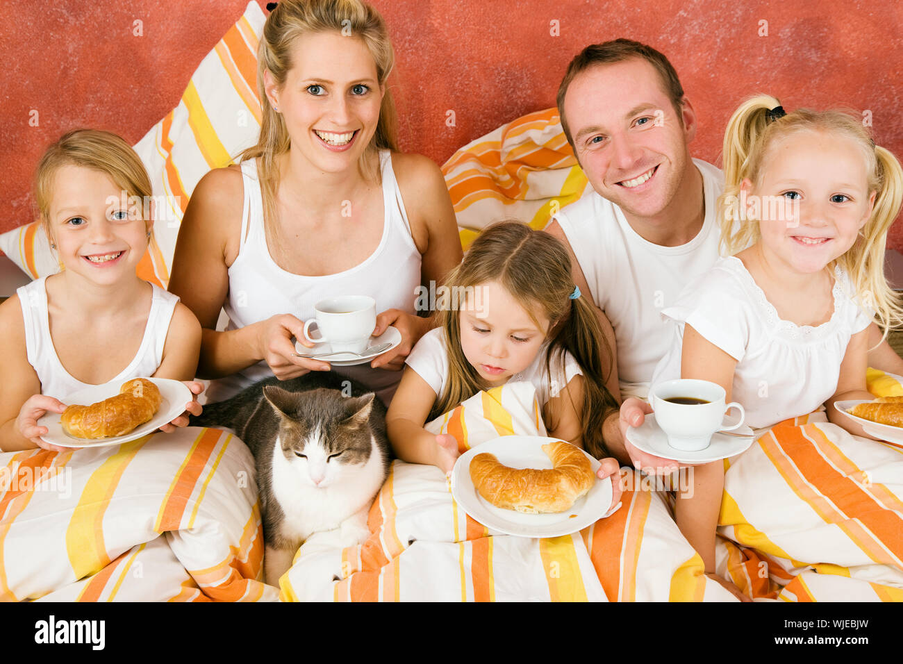 Family cat hi-res stock photography and images - Alamy