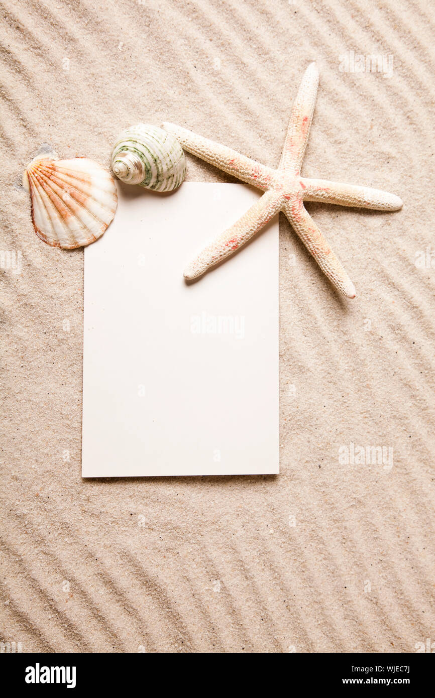 Messages between sands and shells Stock Photo - Alamy
