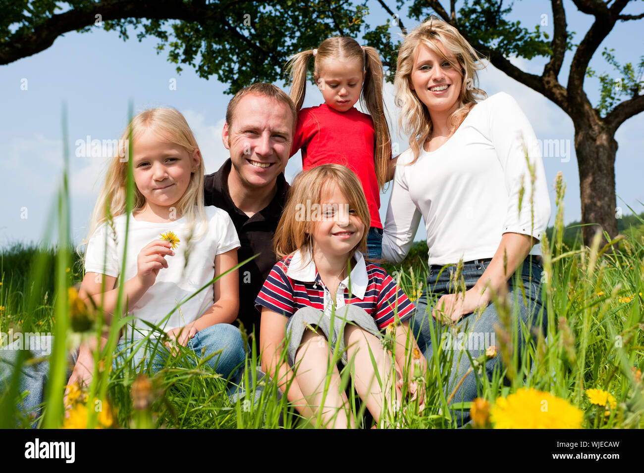 Family on meadow in spring Stock Photo - Alamy