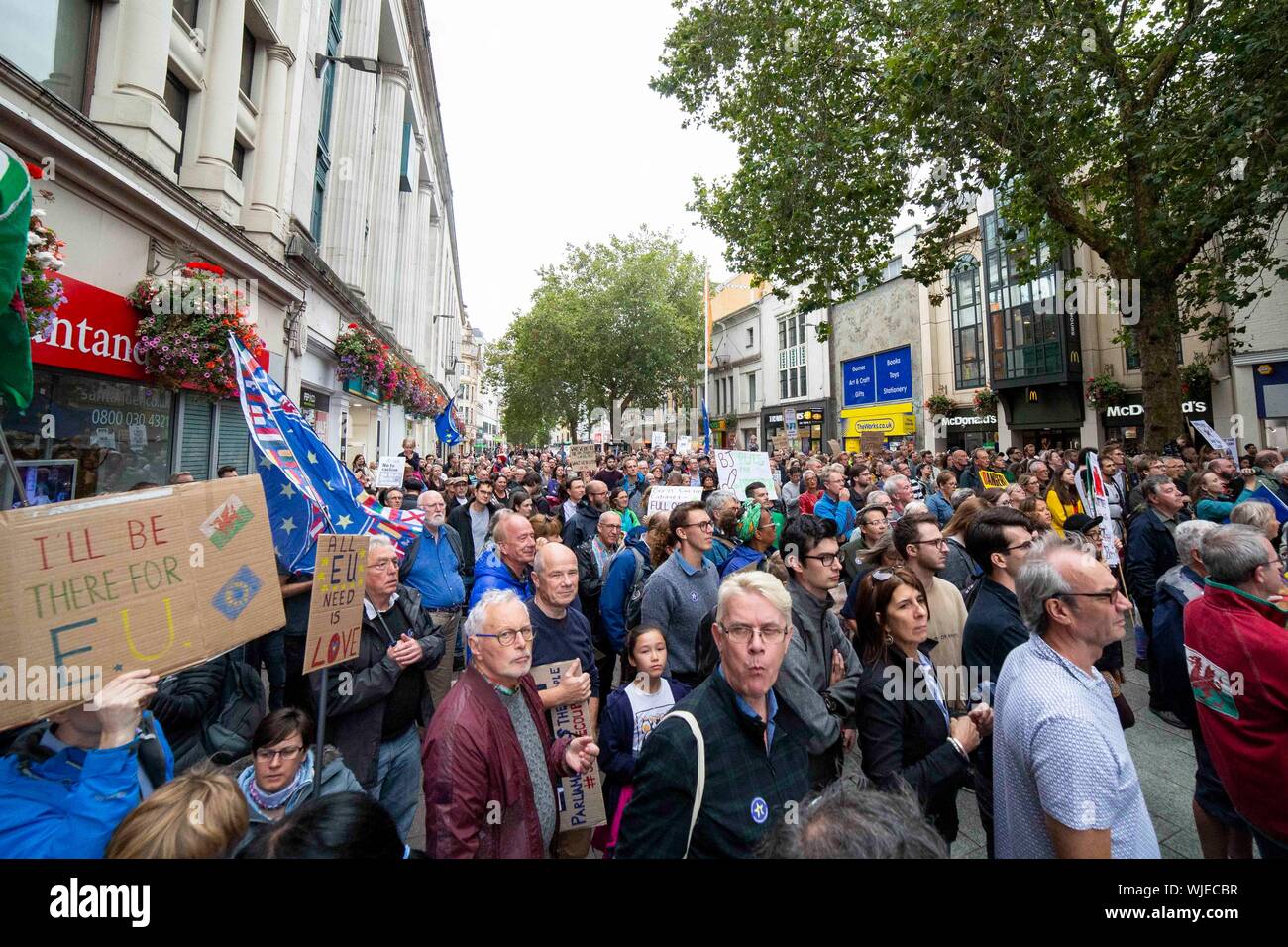 Cardiff, Wales, UK, September 3rd 2019. People protest against the UK ...