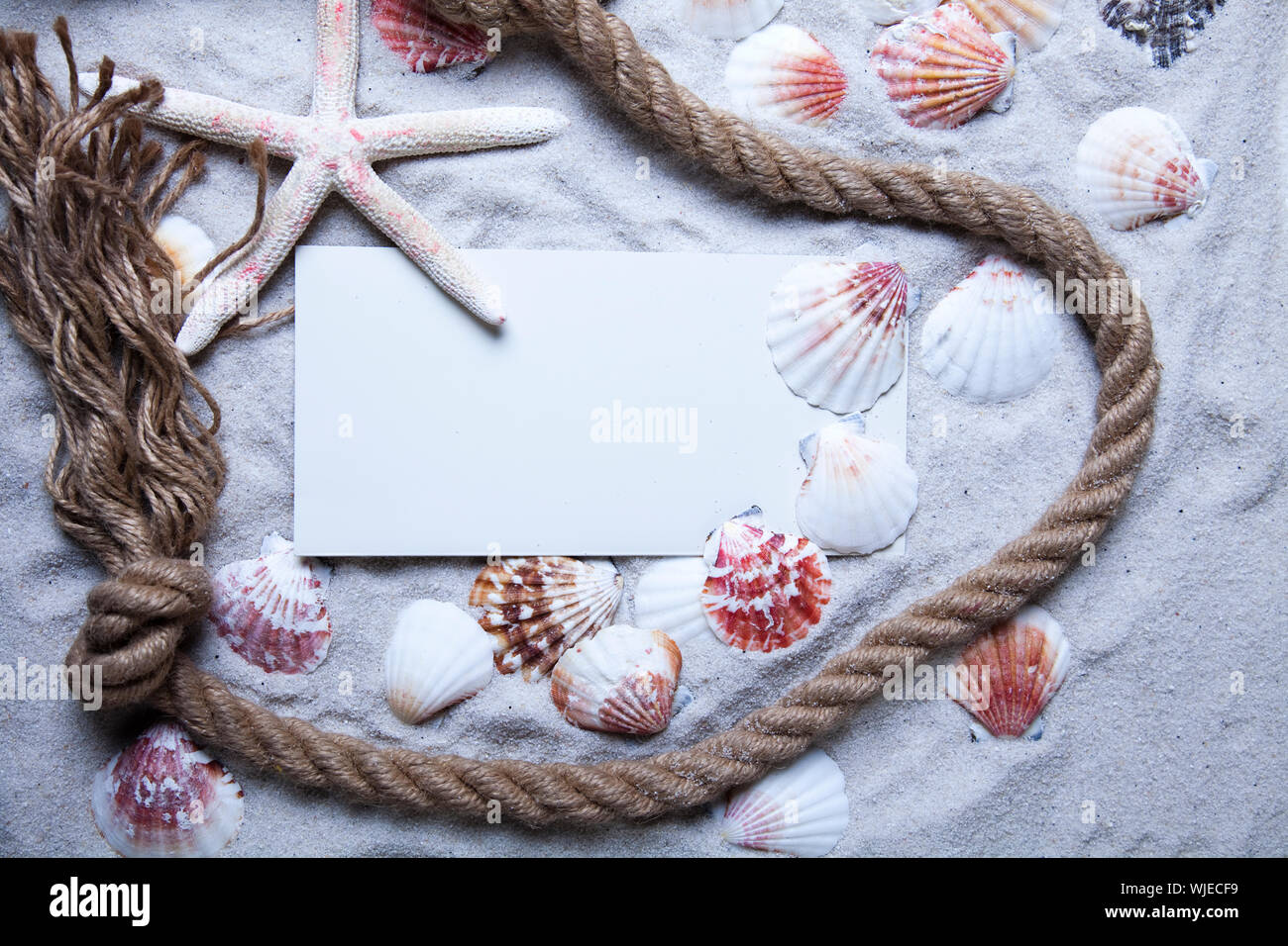 Messages between sands and shells Stock Photo - Alamy